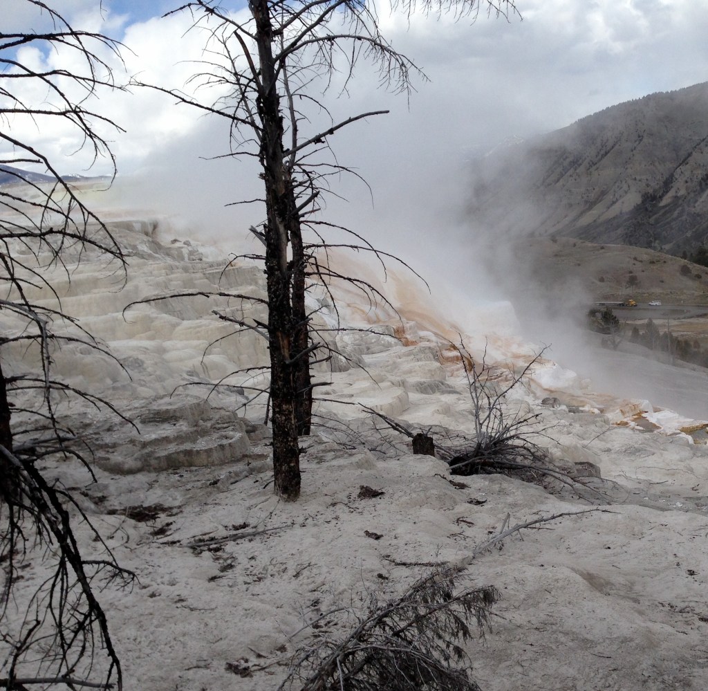 Reorganizing Family Businesses in Bankruptcy, and the Problem of ...