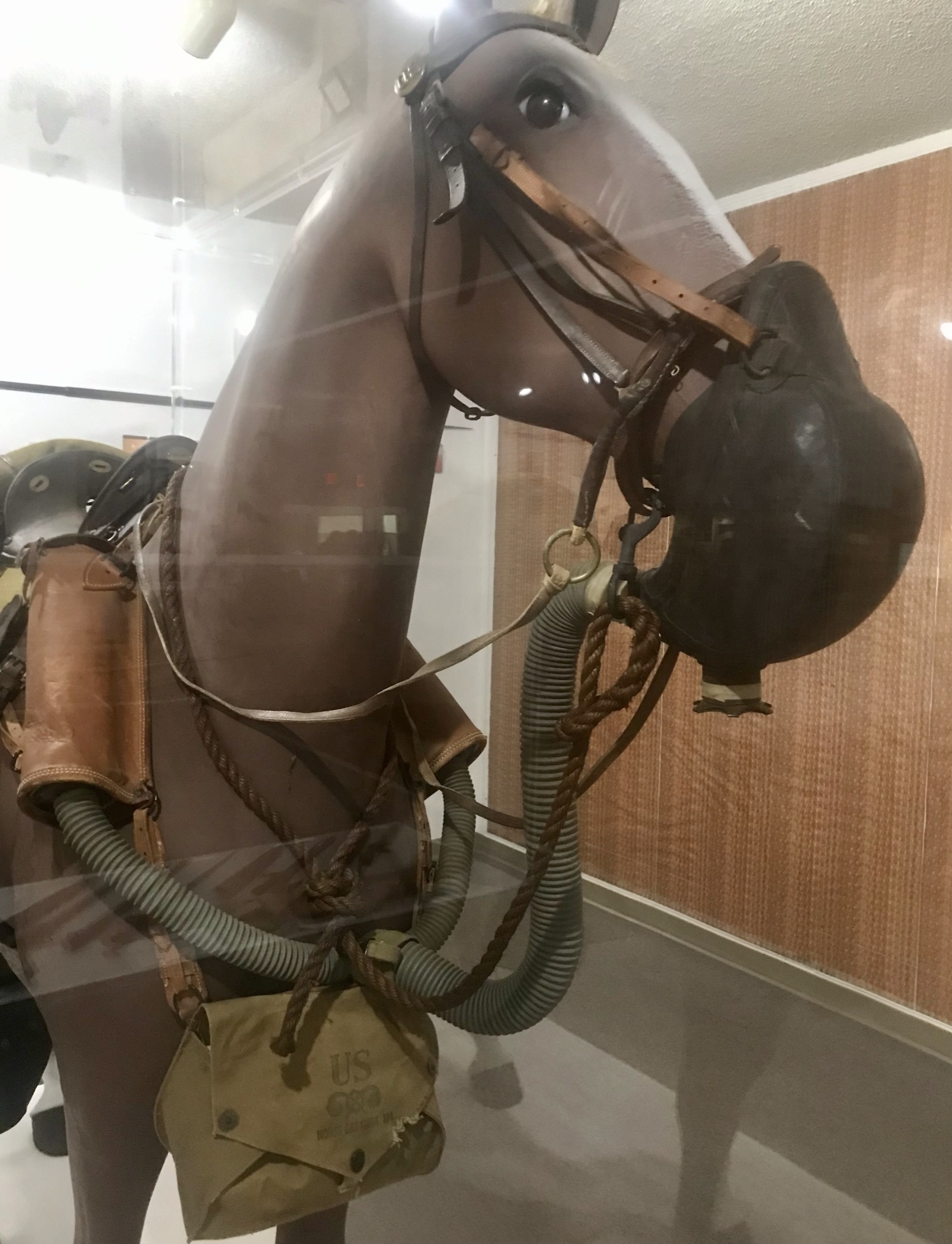 An Example Of Subchapter V Accomplishing Its Purpose (In re Chip’s ...